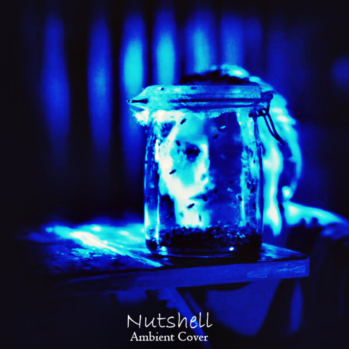 Nutshell Alice In Chains Ambient Cover Eisce