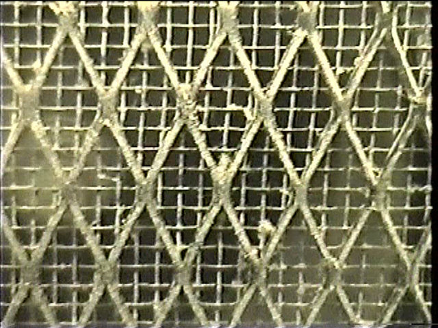 Evolution | Versificator | Remissive Records