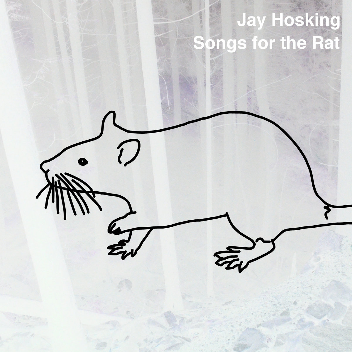 Songs for the Rat | Jay Hosking