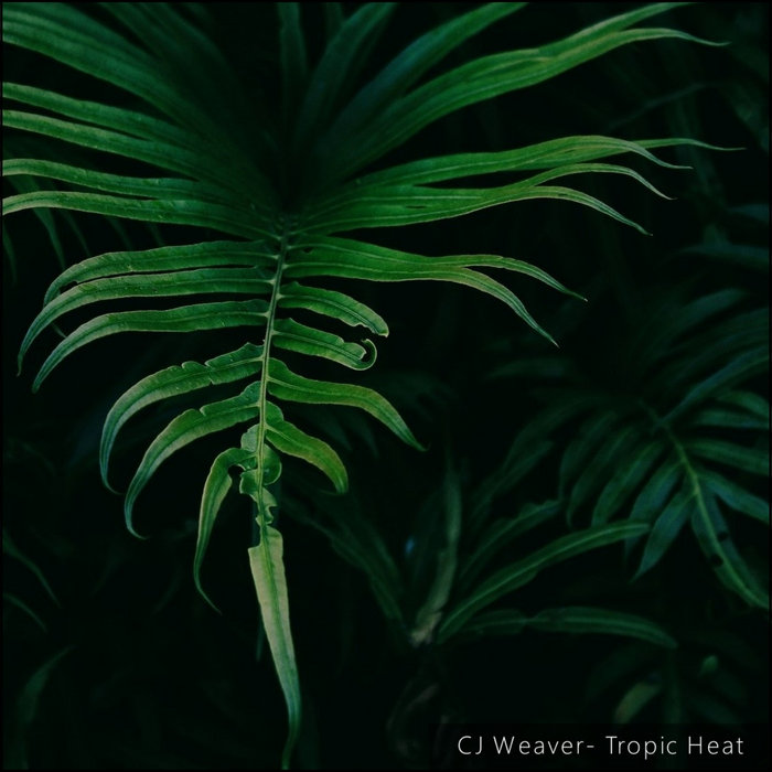 Tropic Heat EP | CJ Weaver