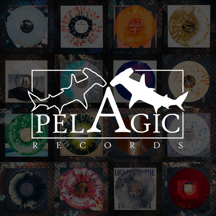 Pelagic Label Sampler 2023 | Pelagic Records