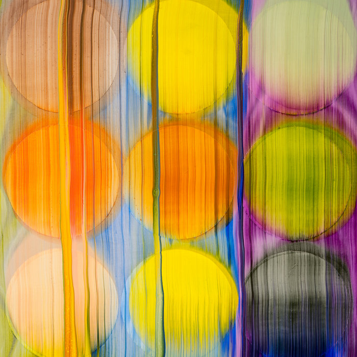 Plant Intelligence | Dominik Petzold