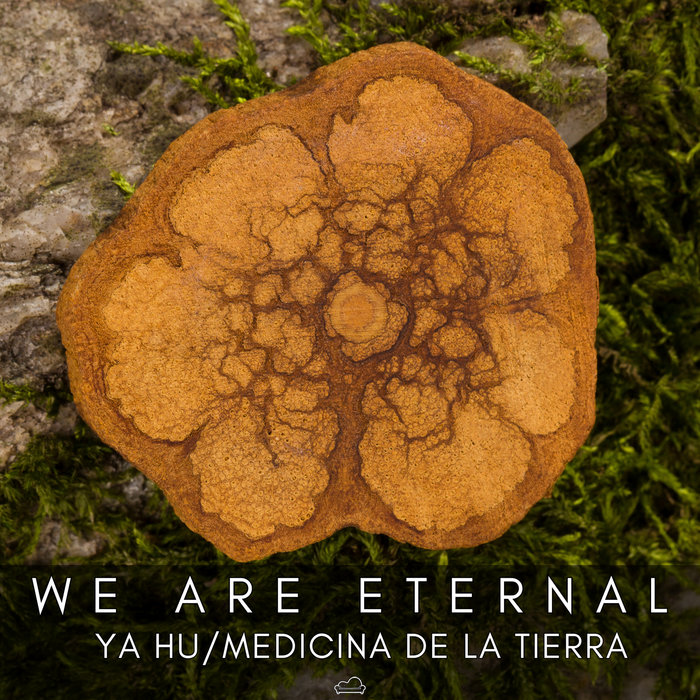 Ya Hu / Medicina De La Tierra | We Are Eternal (Sofa Beats) | Sofa Beats