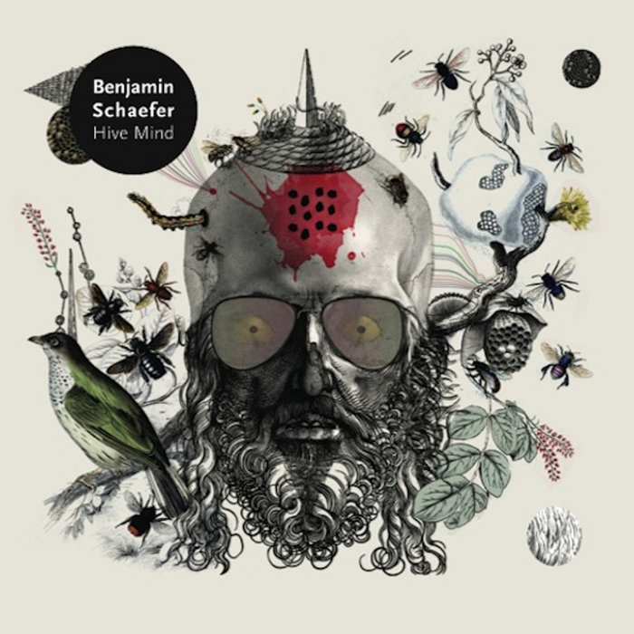 Hive Mind | Benjamin Schaefer