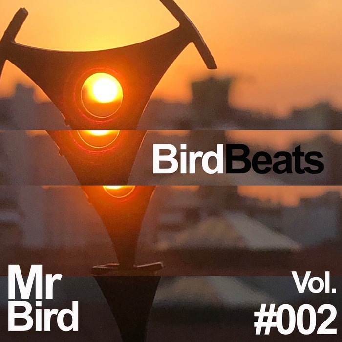Bird Beats Vol.#002 | Mr Bird
