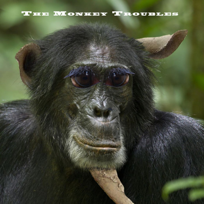 The Monkey Troubles | David And The PS3 Games