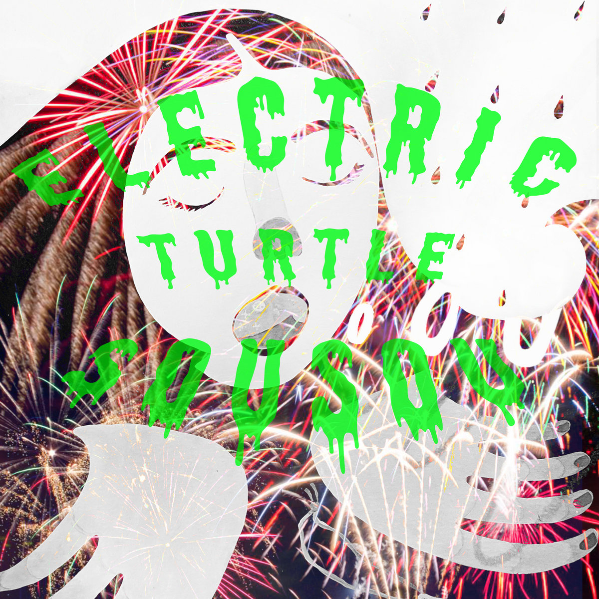 Electric Turtle | Nyssa Komorowski