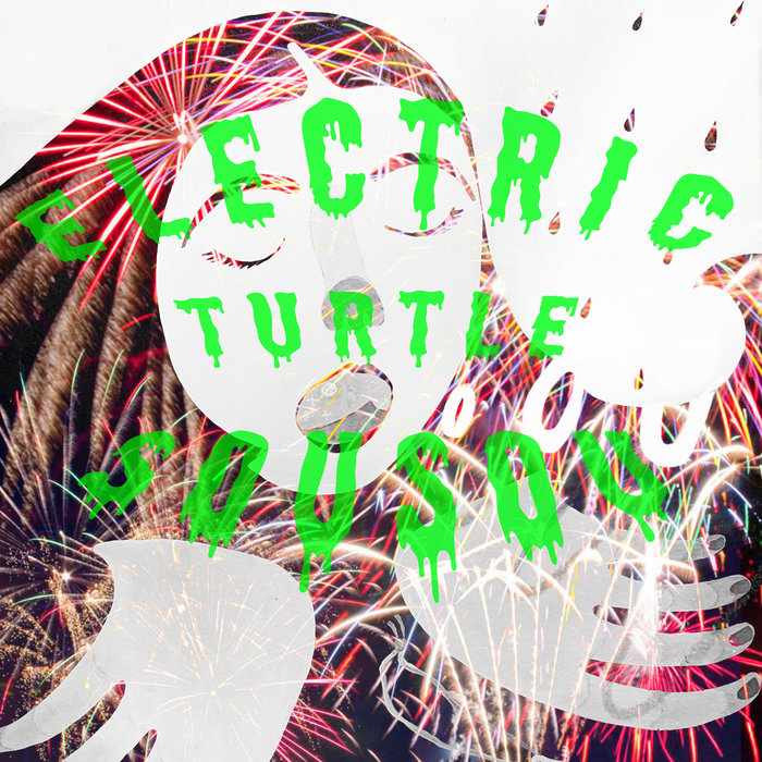 Electric Turtle | Nyssa Komorowski