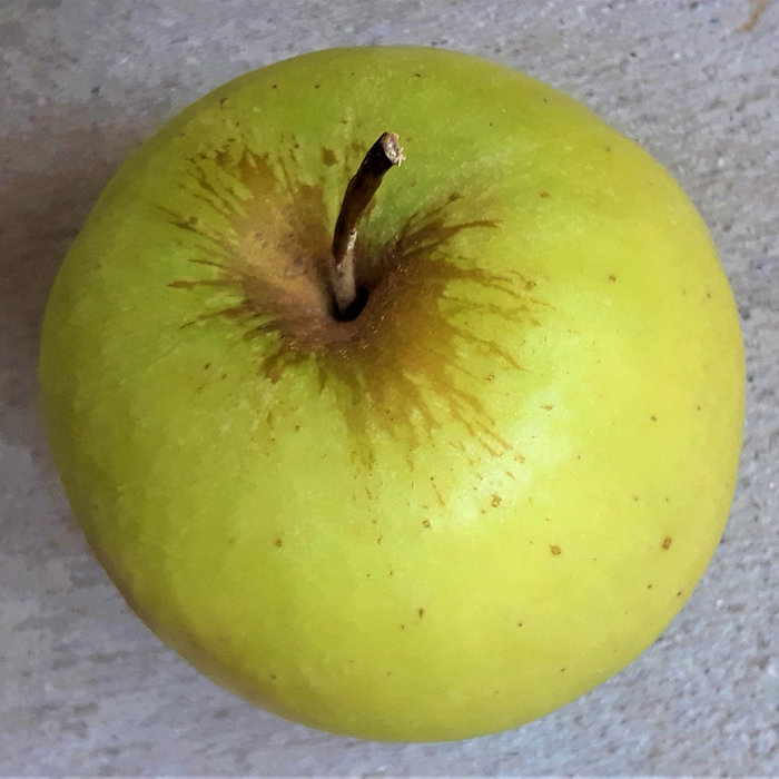 Magic Apple | AUXVOYAGER