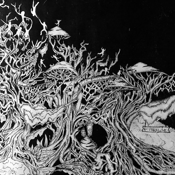 A NEW WORLD | TREELINE