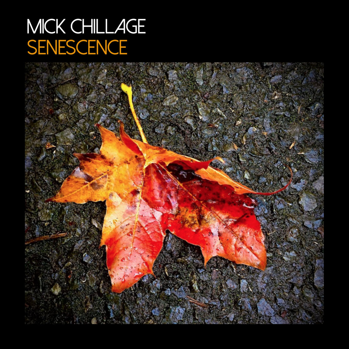 Senescence | Mick Chillage