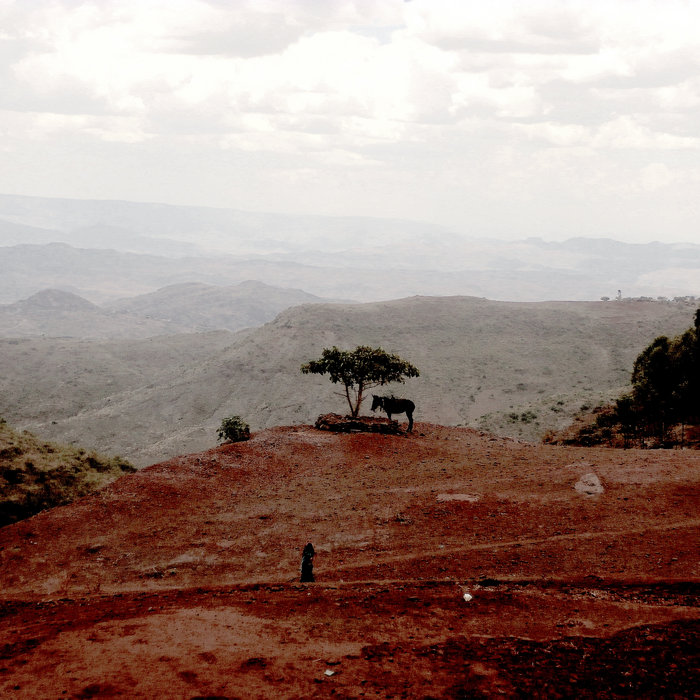 Wounded Keens | Ben Richter