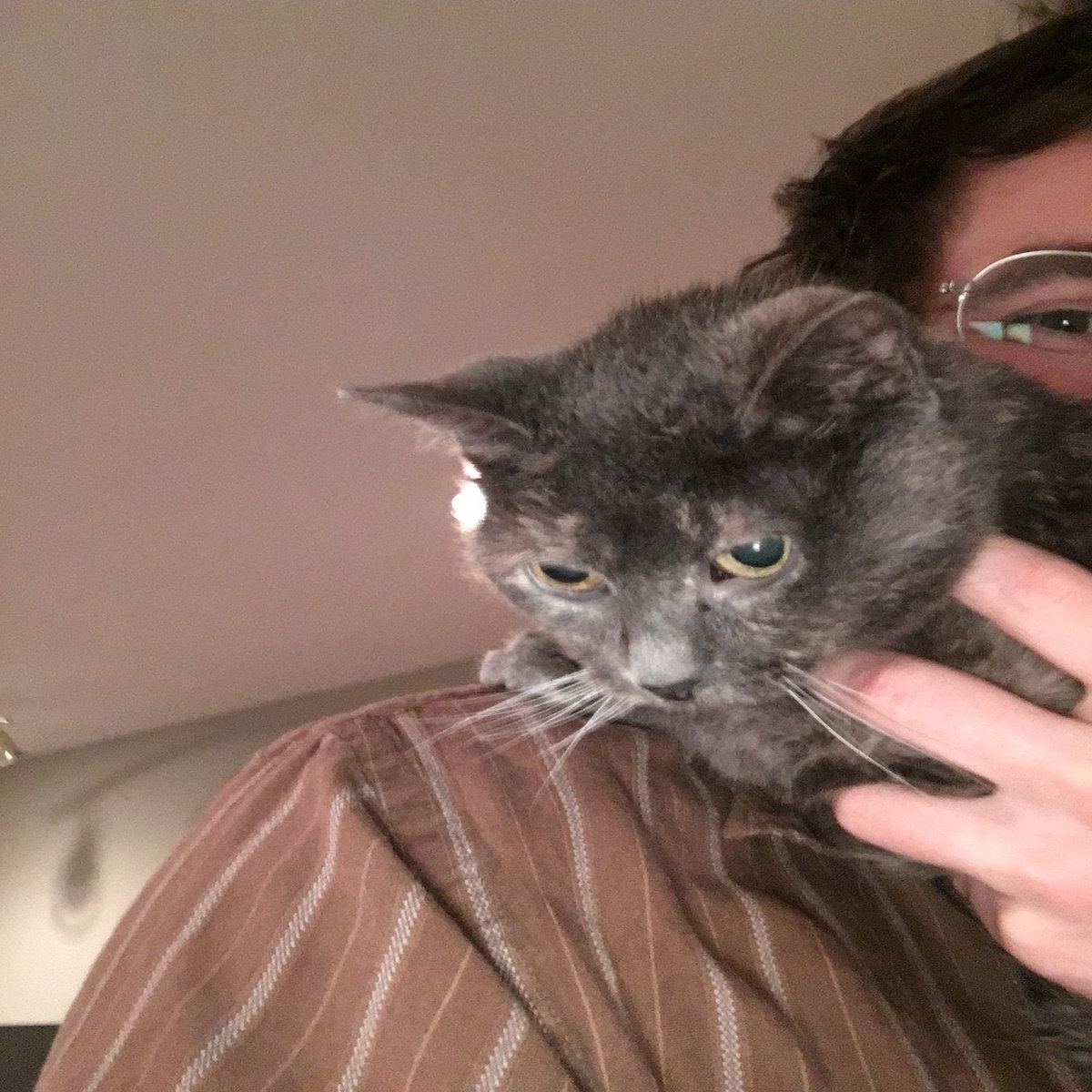 Everett and the Multiverse Theory | Jordan Hebert