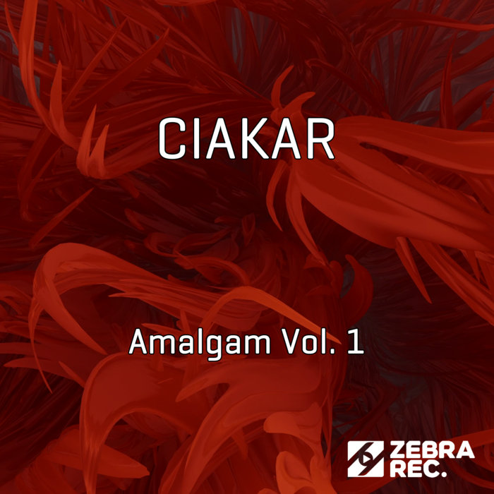 Amalgam Vol. 1 - EP | CIAKAR | Zebra Rec.