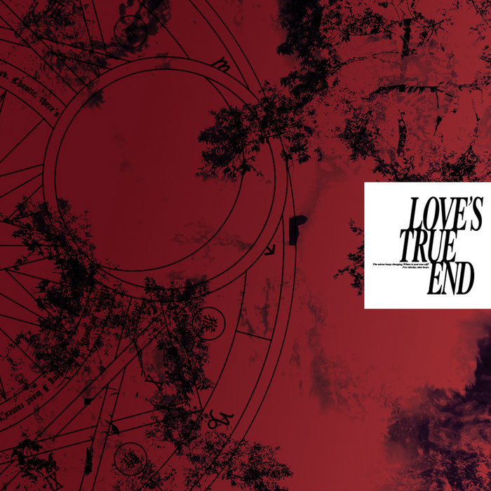 LOVE'S TRUE END | DJSJ