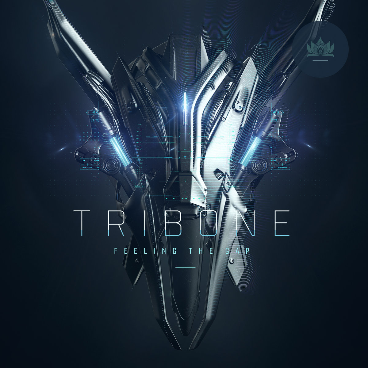 Feeling The Gap | TRIBONE