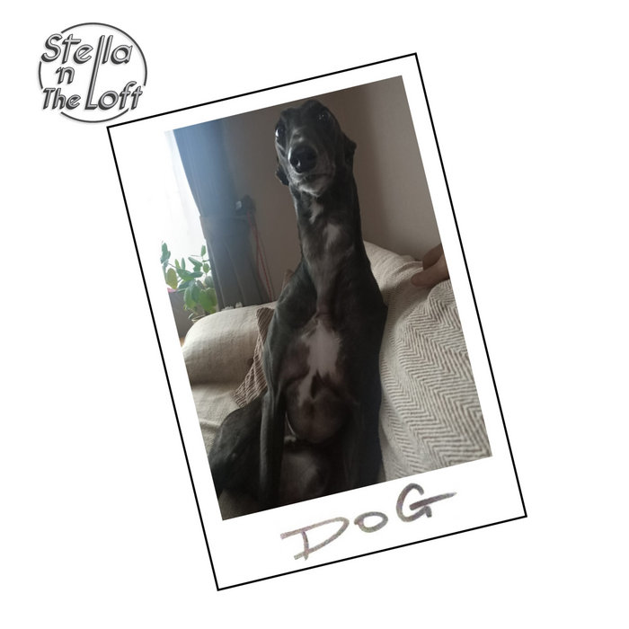 Stella 'n The Loft - DOG (EP) | Stella 'n the Loft