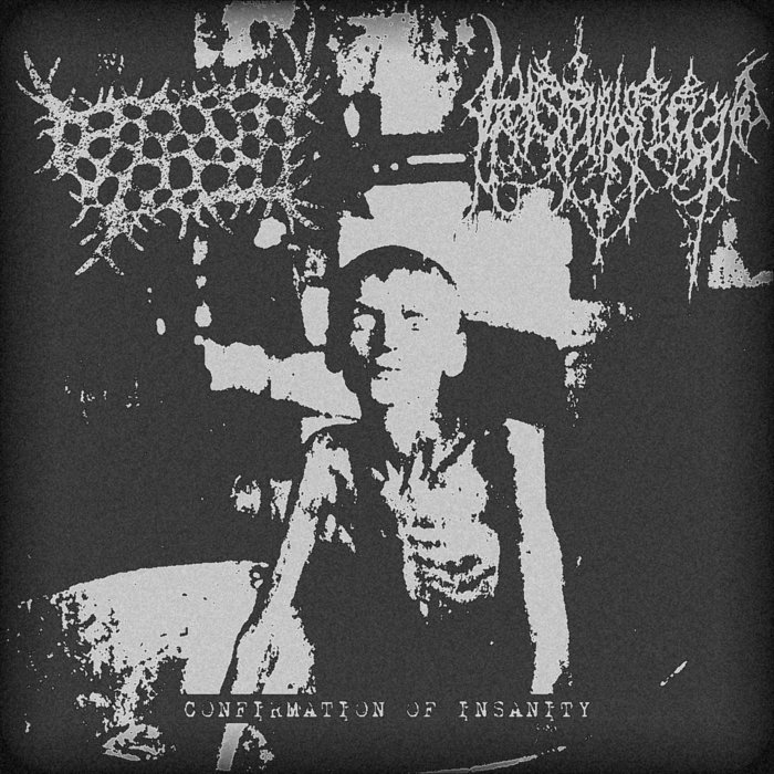 Confirmation of Insanity (Split with Stab Wound) | The Personification ...