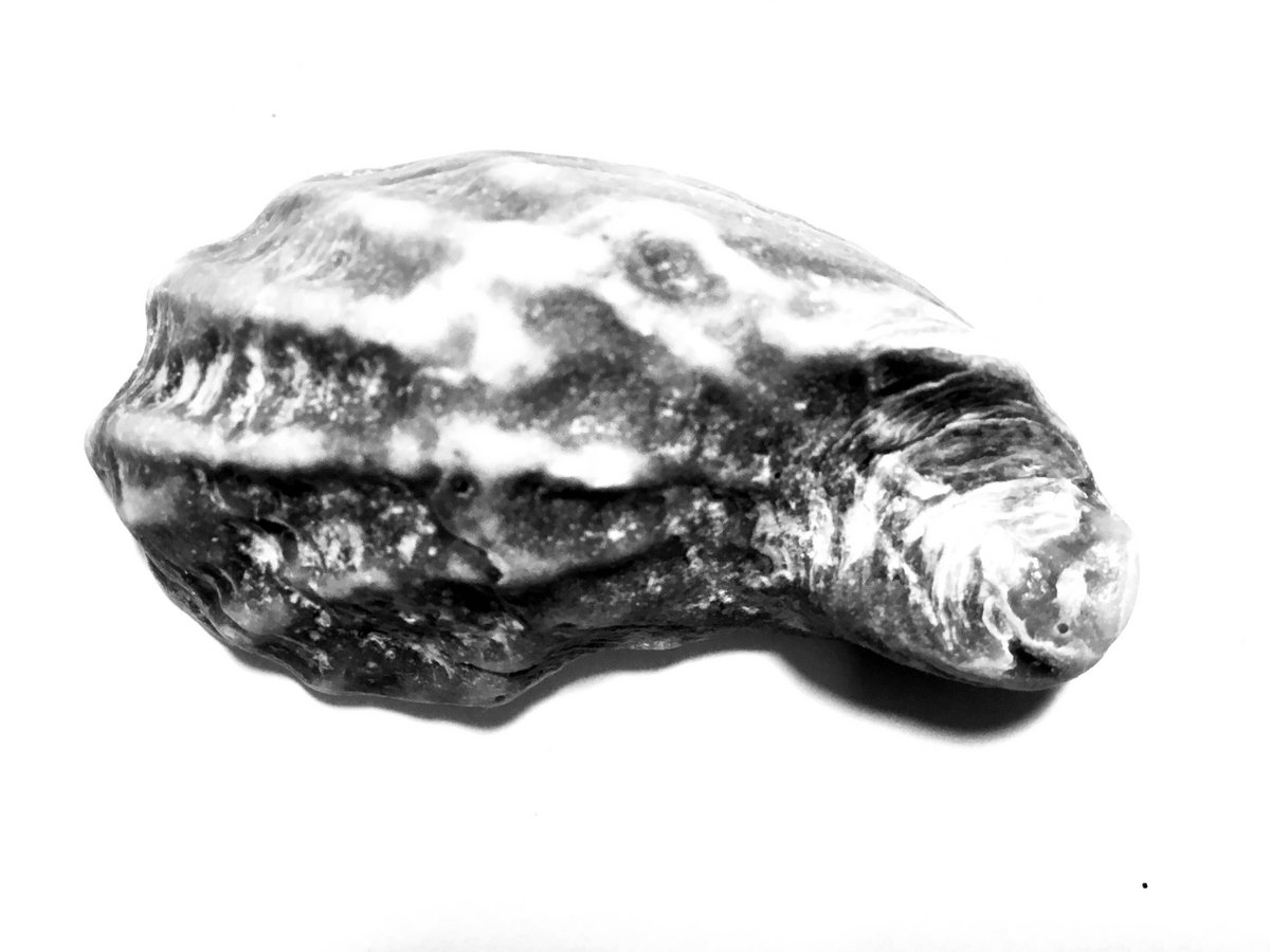 Singularity: A Minimal Liminal | Ratty Scurvics
