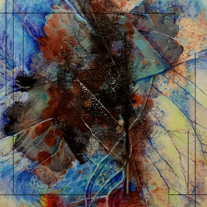 Refractions | Patrick Graham