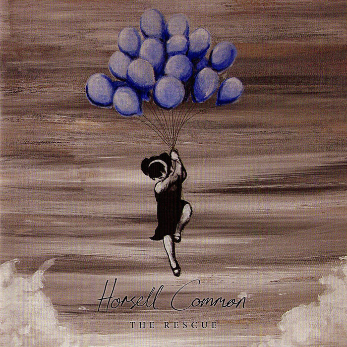 The Rescue | Horsell Common