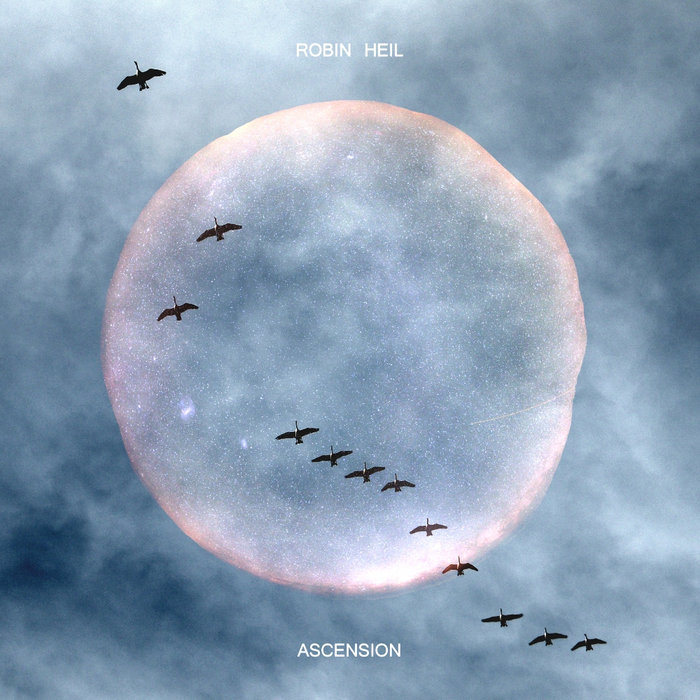 Miami Gangster | Robin Heil