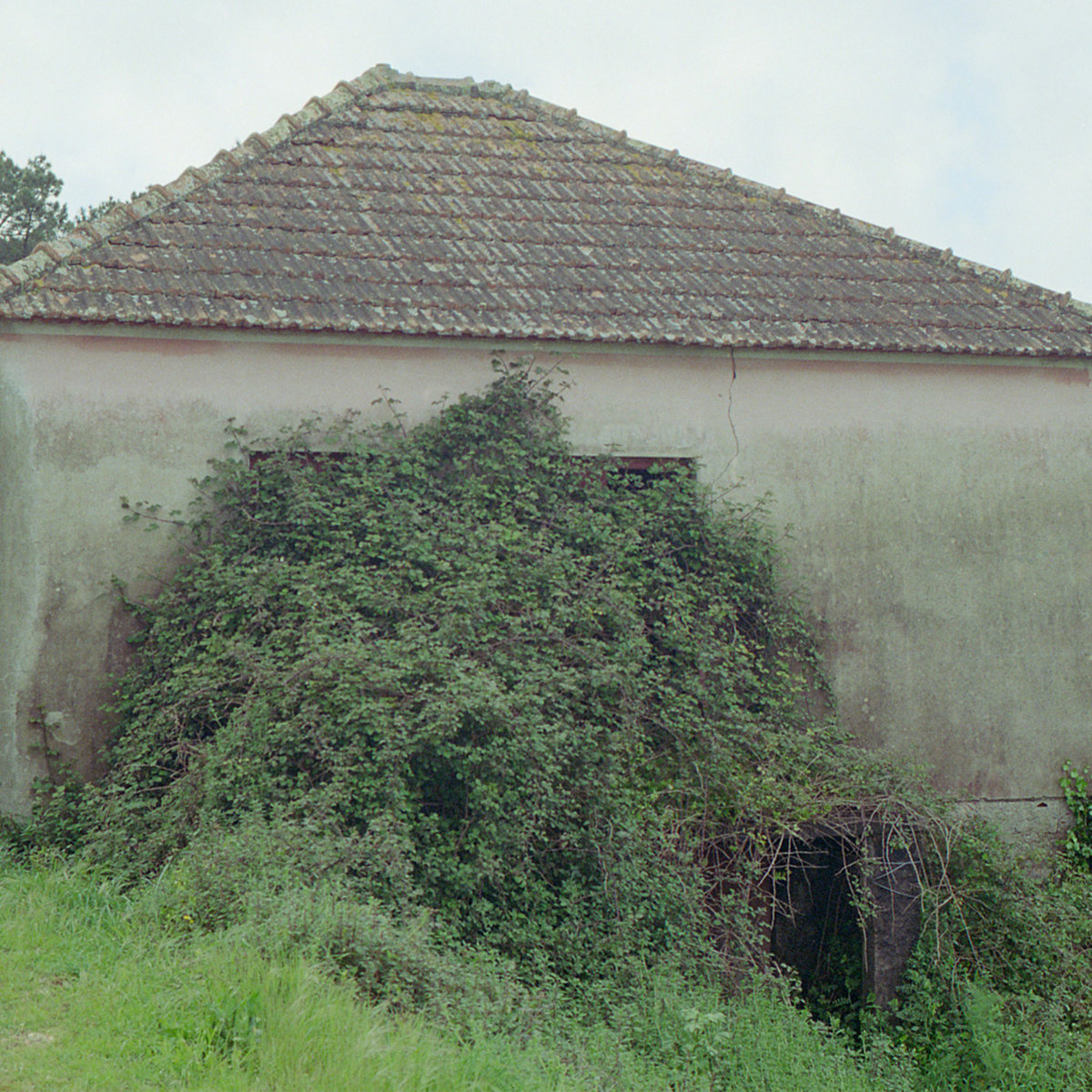 Hypervigilant | Mitchell Alves