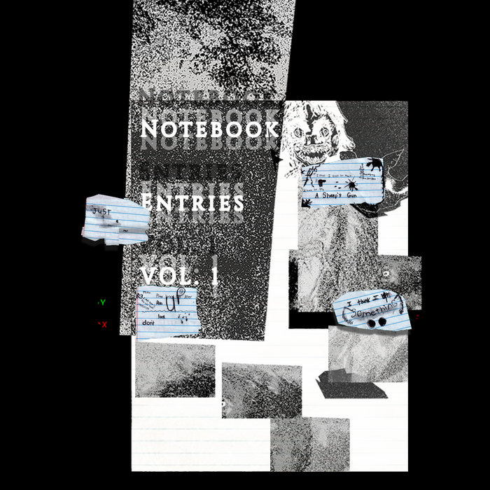Notebook Entries Vol.1 | anOVERTHINKER