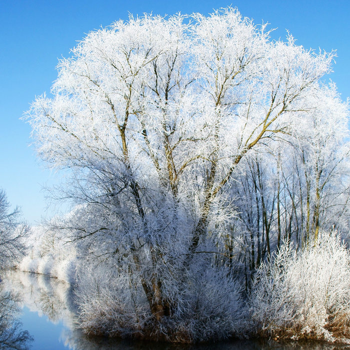Gimik The Reunion 1999 | Regeagiac | dawicvisi