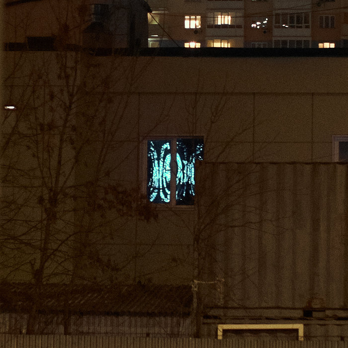 New Sincerity | Goose Loop