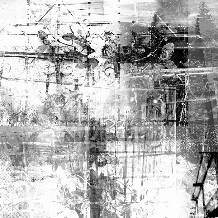 Bluejay Telly | Blue Telly