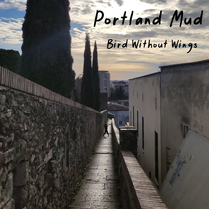 Bird without wings | Portland Mud