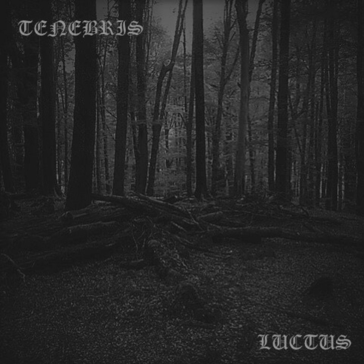 Tenebris - "Luctus" - 2017 | RealmOfMetal.org