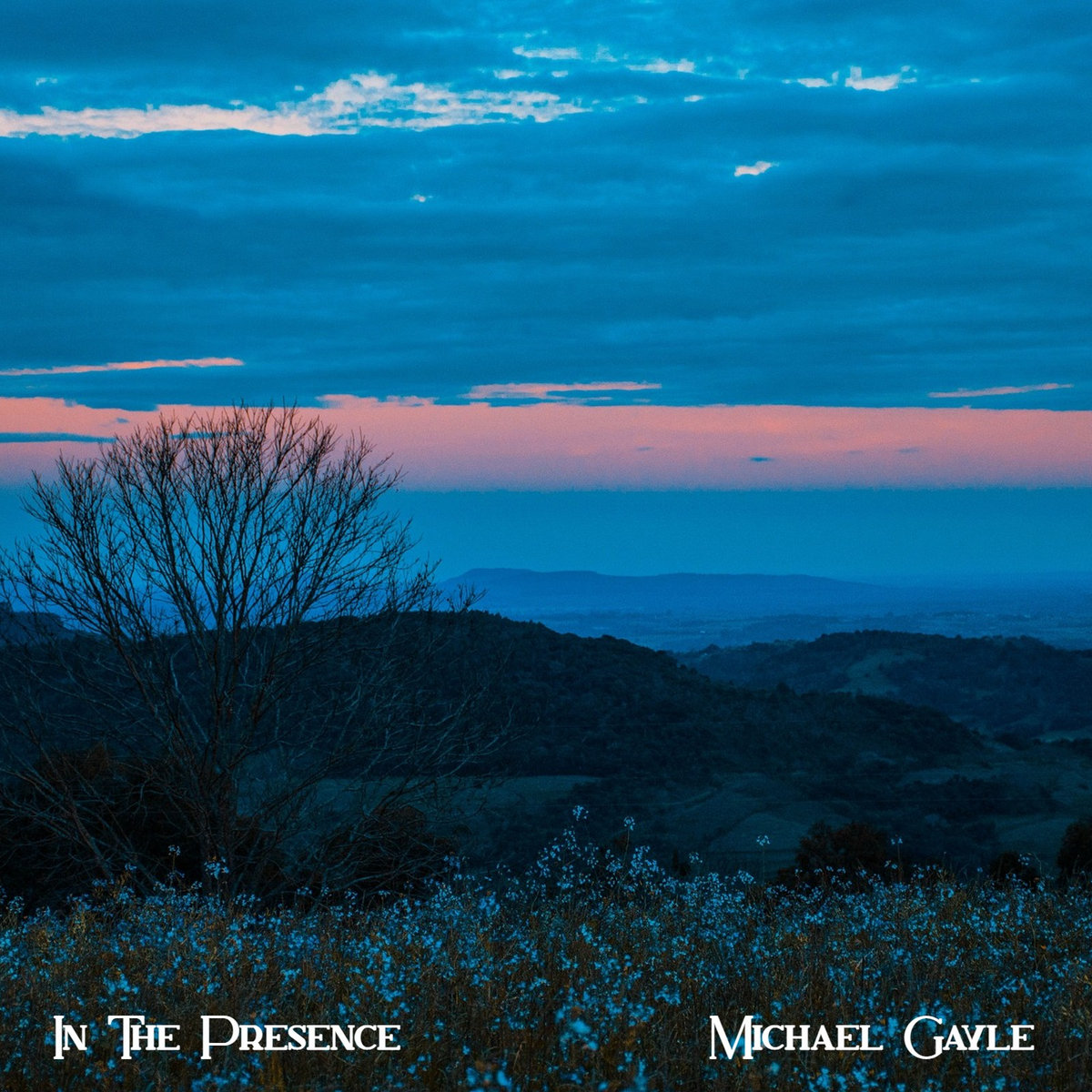 In The Presence | Michael Gayle