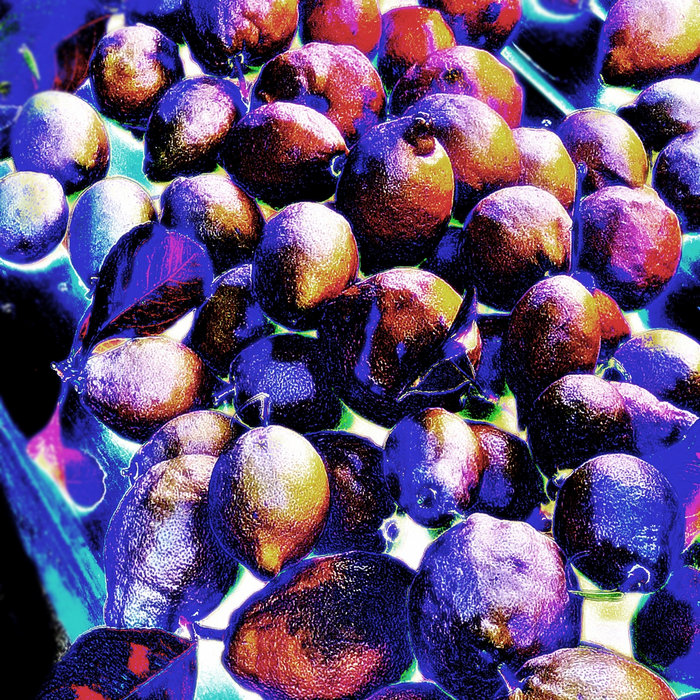 Rain | Benjamin Wylie