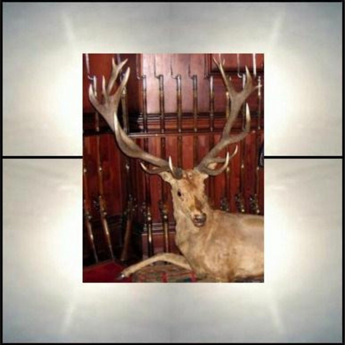 Bright Emissions From the Weapons Room | The Golden Gonk | Corn on the ...