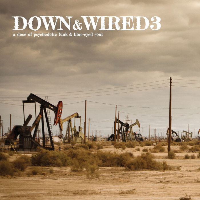 Down & Wired Vol.3 (LP) | V/A | perfecttoyrecords