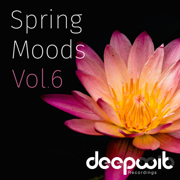 Spring Moods Vol.6 | DeepWit Recordings
