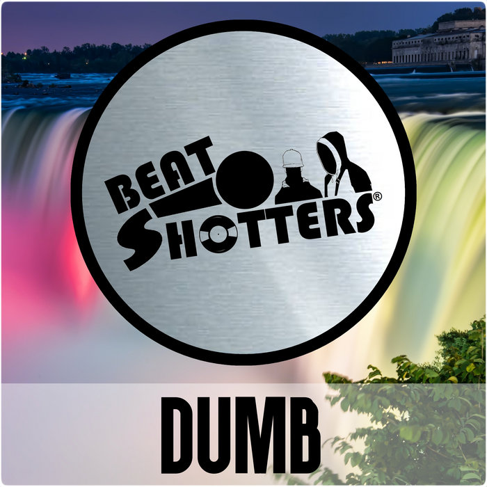 Dumb - Professional | Beatshotters