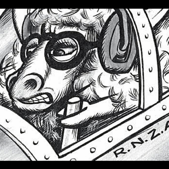 Brave Sheep | Brave Sheep