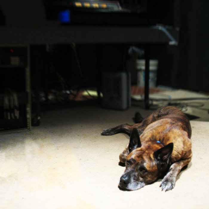 Ride the Lightning | Continental Drip