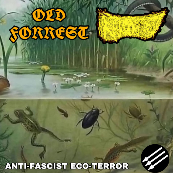 Anti-Fascist Eco-Terror - Rinovirus x Old Forrest | Old Forrest