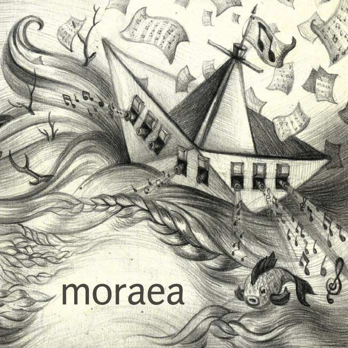 7 | MORAEA | Moraea