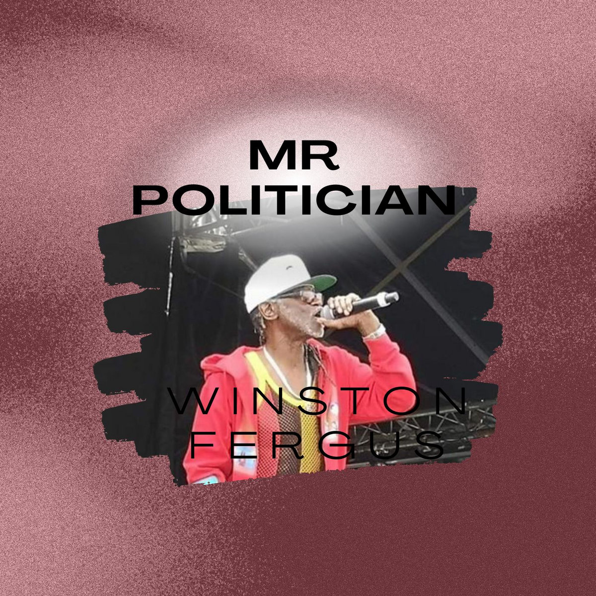 Mr Politician | Winston Fergus