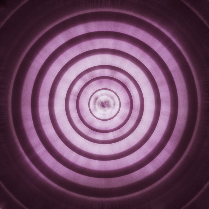 Onion Project | Onion Project