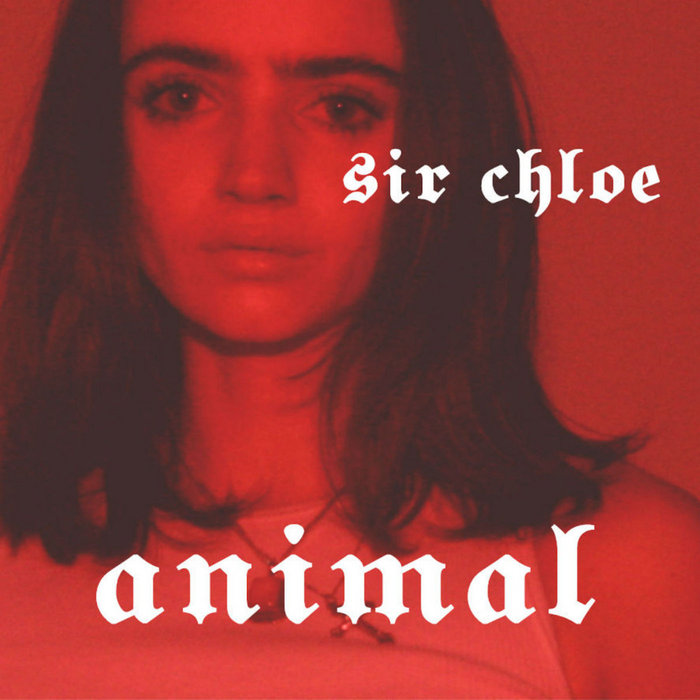 Animal | Sir Chloe