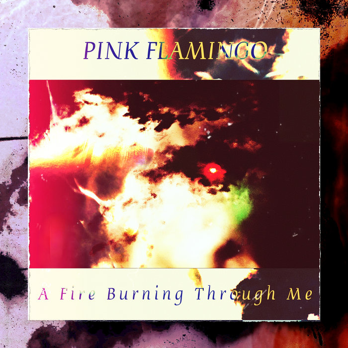 A Fire Burning Through Me | Pink Flamingo | Pacific Star