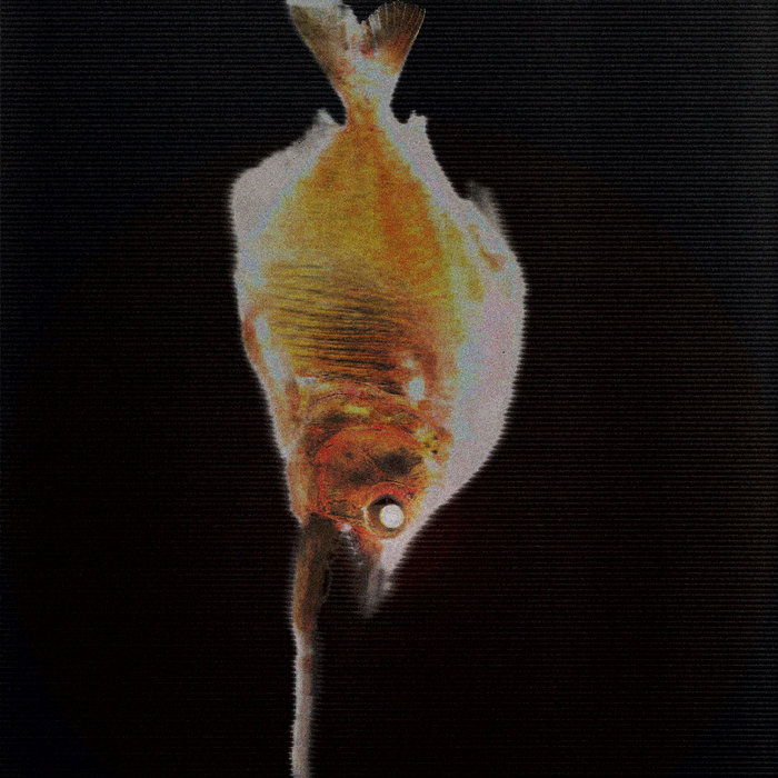 Offscouring | Silver Star Records