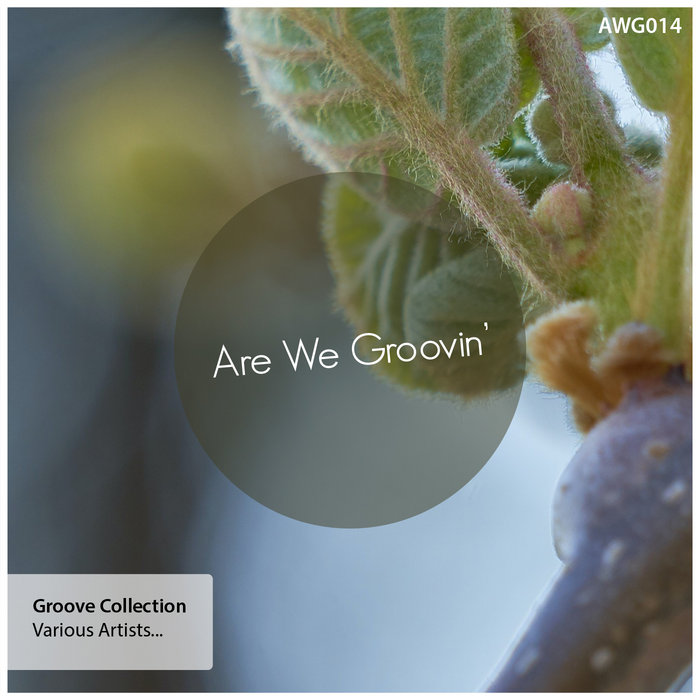 Groove Collection | Various Artists | Are We groovin'