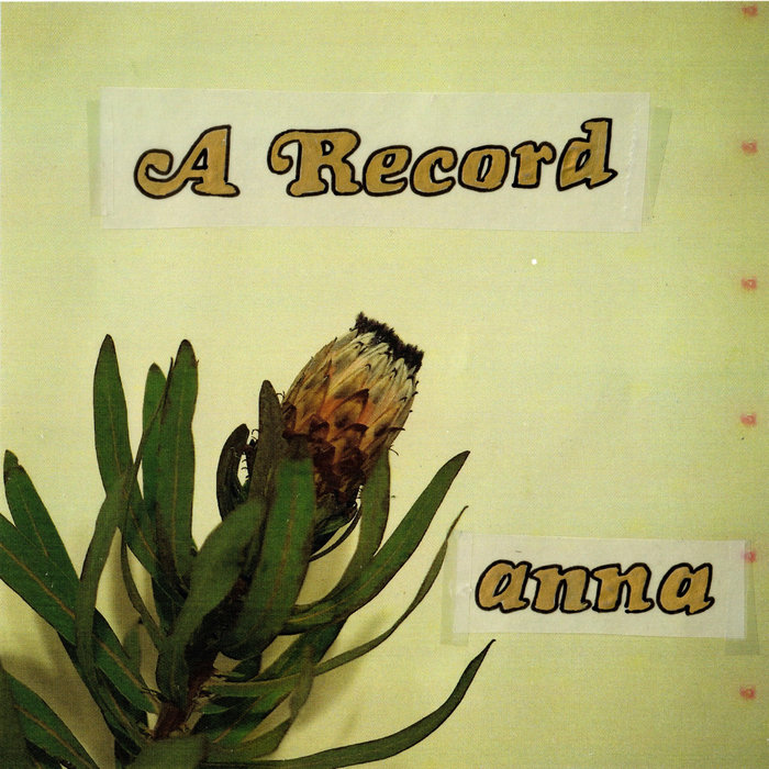 A Record | anna.a